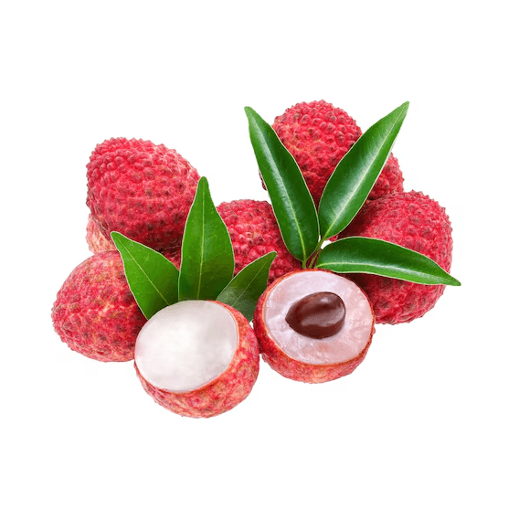 Litchi / Lychee Tree - Mauritius