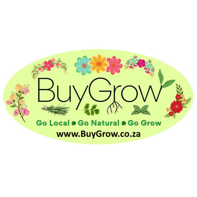 Vegetable Seedlings - (BuyGrow)