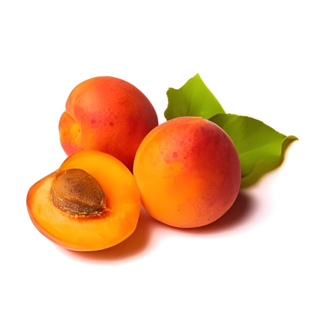 Apricot Tree - Soldonne (BuyGrow Gqeberha)