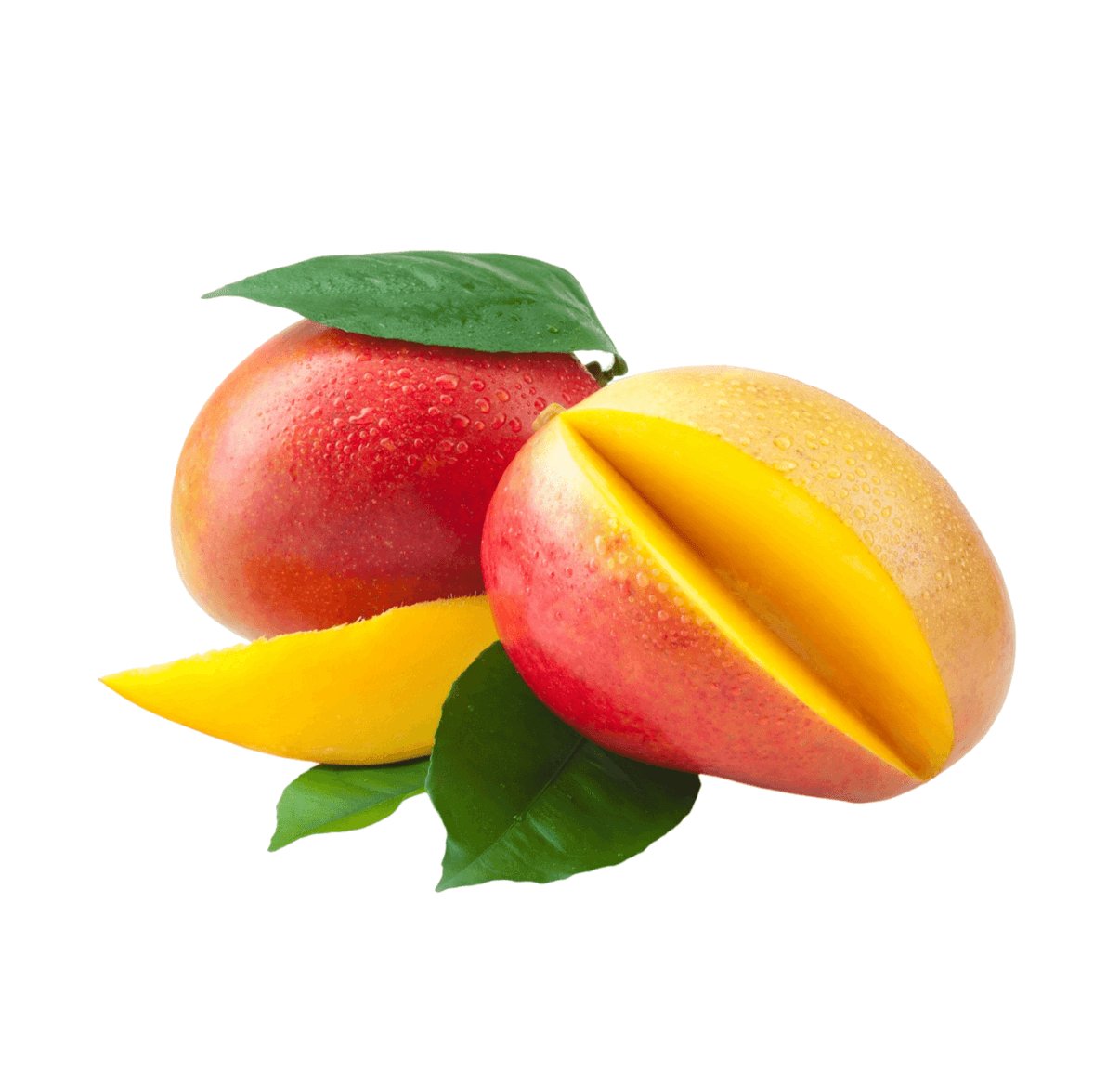 Mango Tree - Tommy Atkins Cultivar